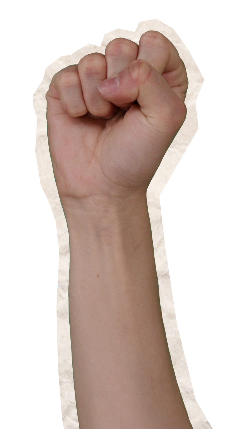 Elementor #5394 » quetantoestantito.mx